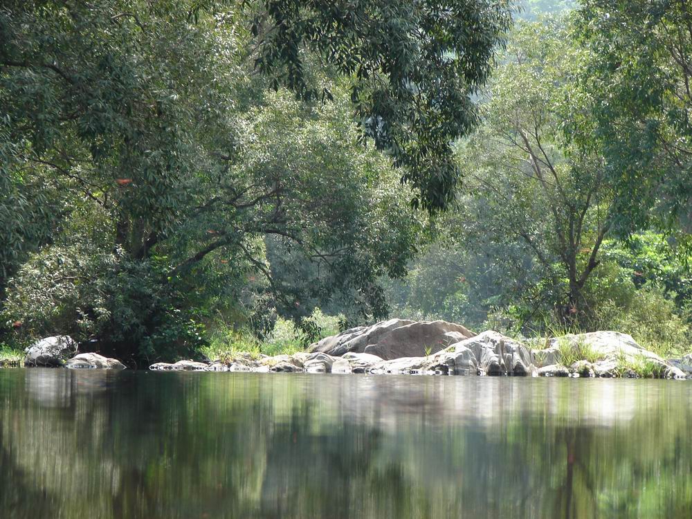 Explore Polo Forest | Best Time, Entry Fees & Top Activities 1 day or 2 day