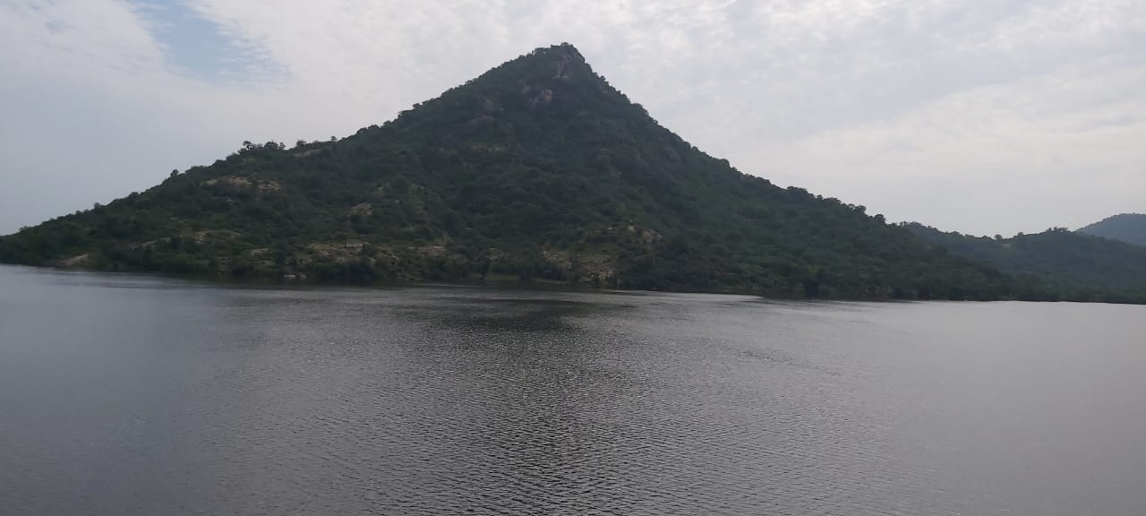 Jessore Sloth Bear Sanctuary & Balaram - 1 day Trip