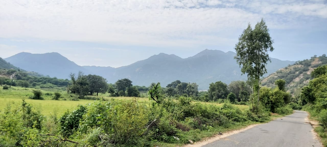 Jessore Sloth Bear Sanctuary & Balaram - 1 day Trip