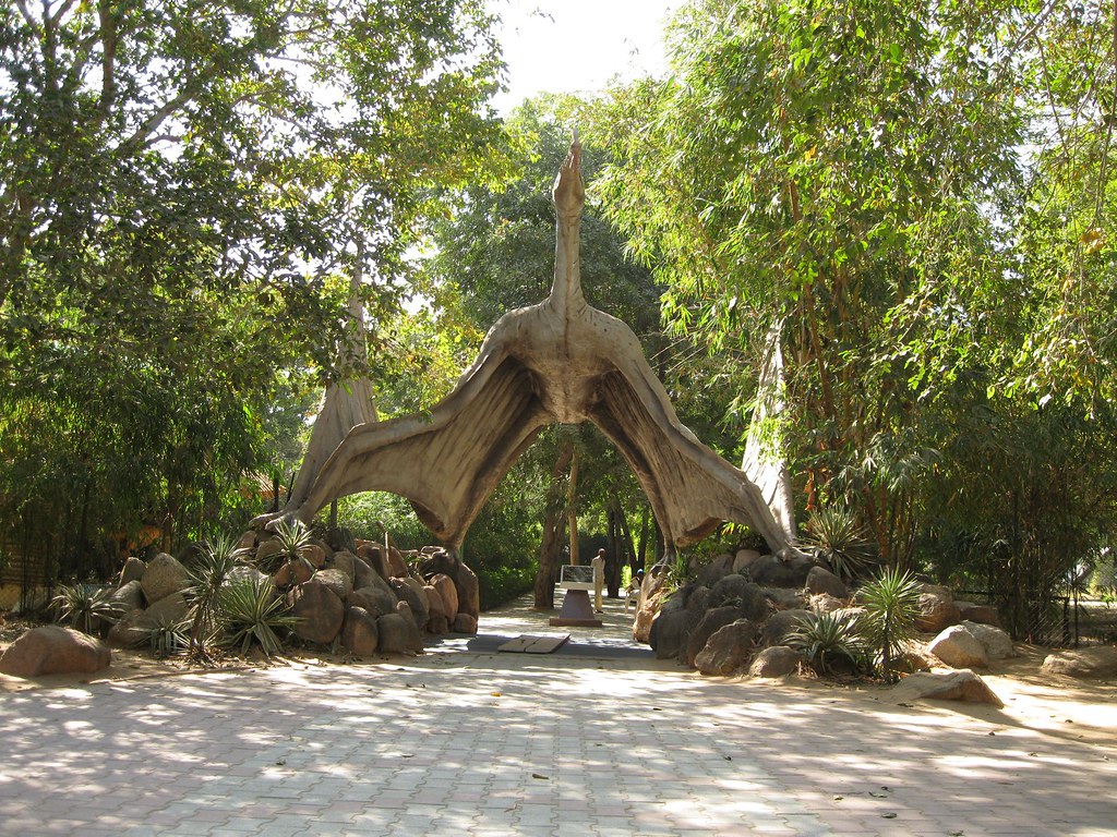 Indroda Park The Largest Zoo or Jungle near Ahmedabad