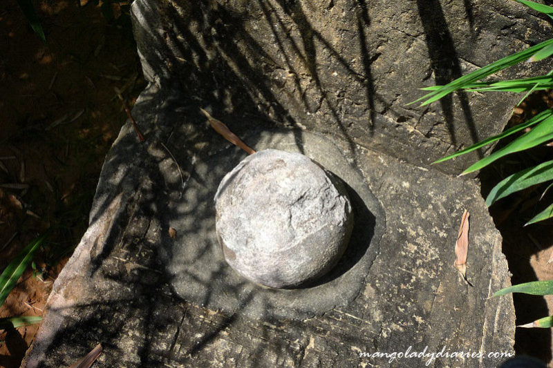 Indroda Park The Largest Zoo or Jungle near Ahmedabad