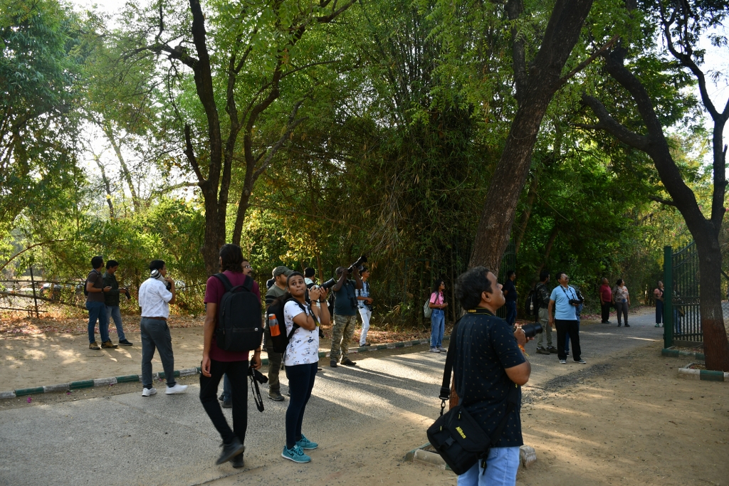 Indroda Park The Largest Zoo or Jungle near Ahmedabad