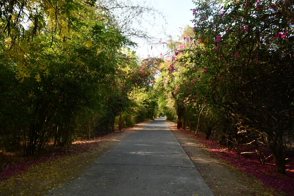 Indroda Park The Largest Zoo or Jungle near Ahmedabad